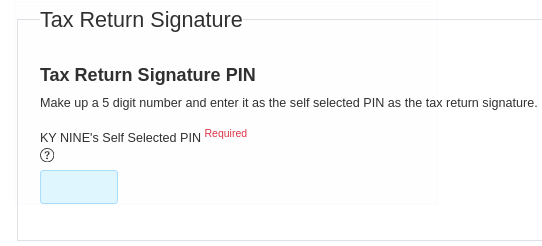 What is a tax return signature PIN? – FileYourTaxes.com Free File