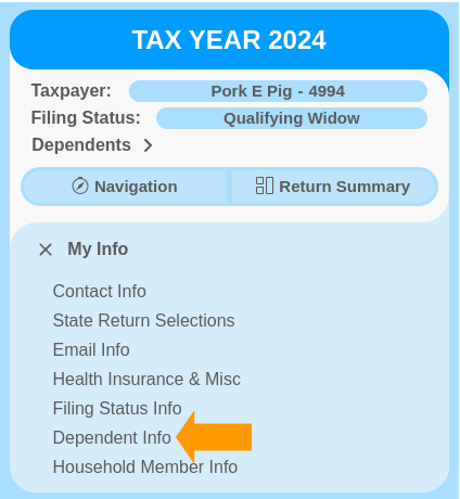How to add advanced dependent information – FileYourTaxes.com Free File
